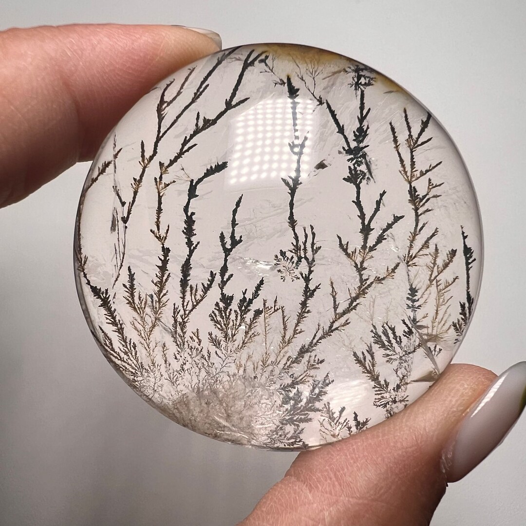 Rare Natural Dendrite Inclusions Quartz 3 - Etsy