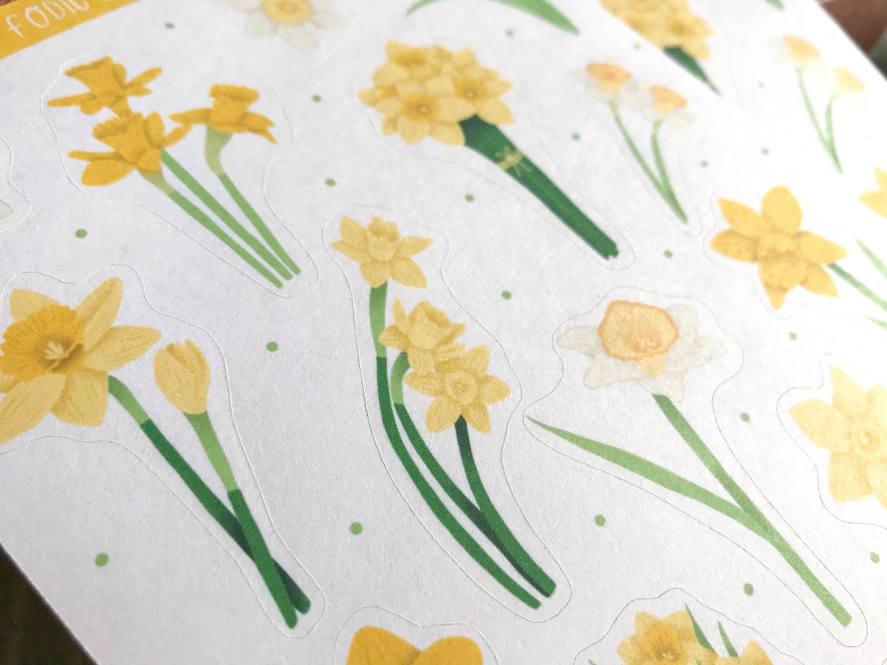 Daffodil Sticker Sheet Spring Stickers Daffodil Stickers - Etsy UK