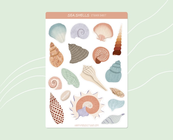 Sea shells sticker sheet Shell stickers Beach stickers Cute | Etsy