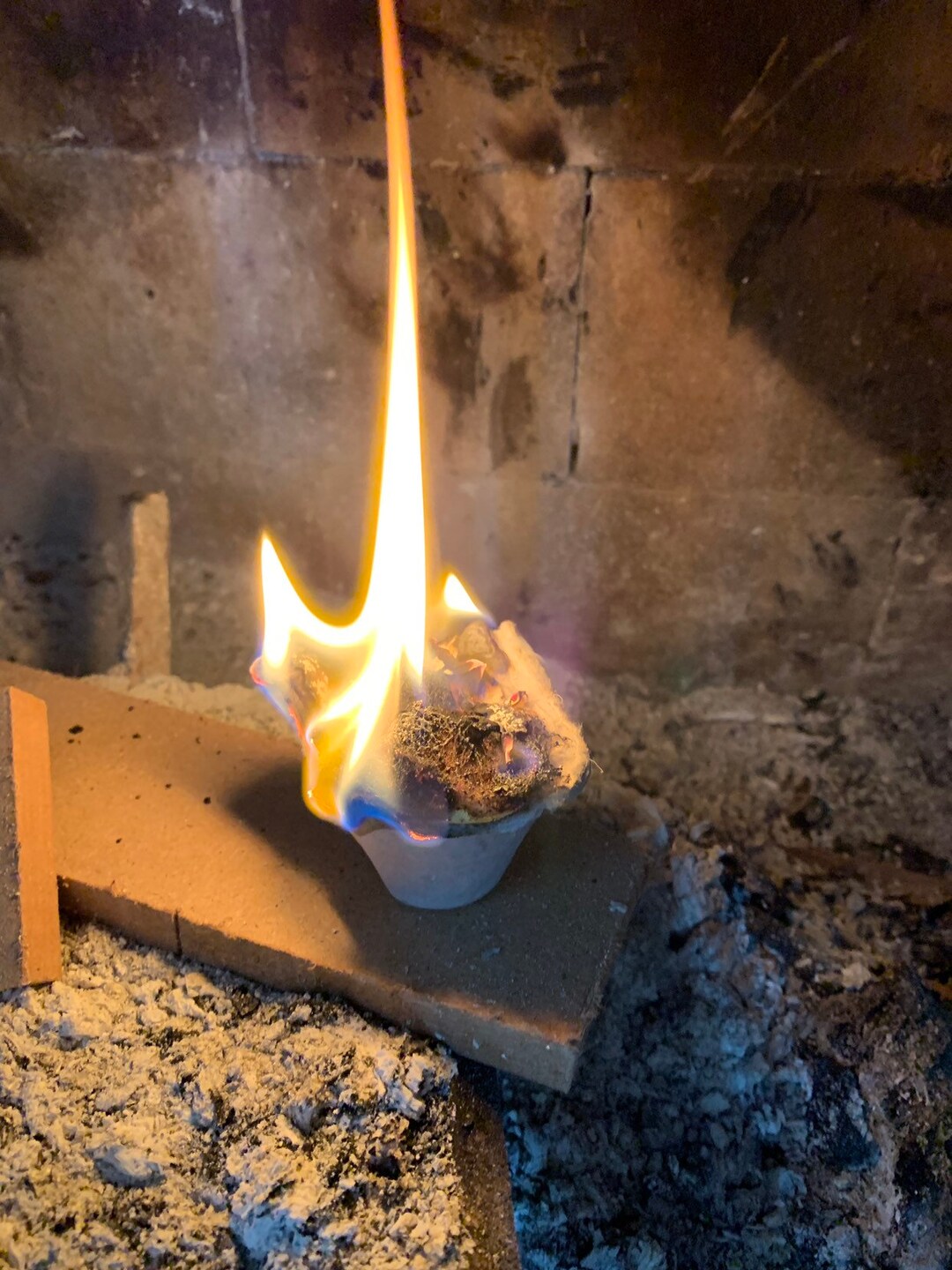 Bird Nest Fire Starters - Etsy