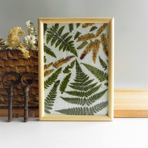 Pressed Plant Frame - Etsy