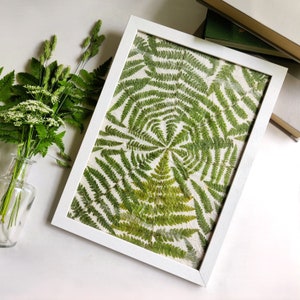 Unique Fern Wall Decor Framed Botanical Gift Pressed Flower Art - Etsy