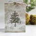 Green Christmas Tree Cards, Dried Botanical Winter Art, Handmade Paper ...