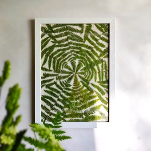 Unique Fern Wall Decor Framed Botanical Gift Pressed Flower Art - Etsy