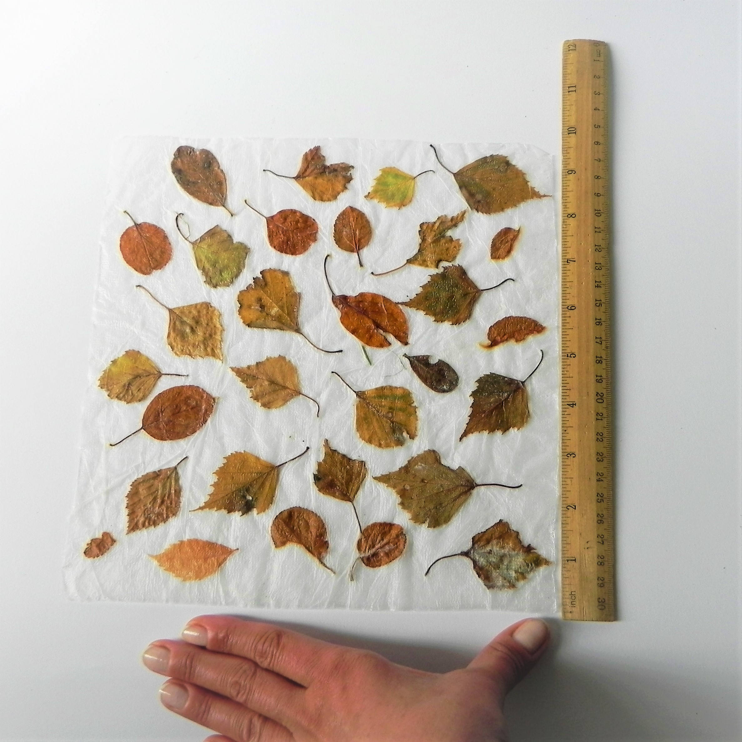 Autumn Decor Craft Home Made Paper Sheets With Dry Fall Birch Leaf - Etsy