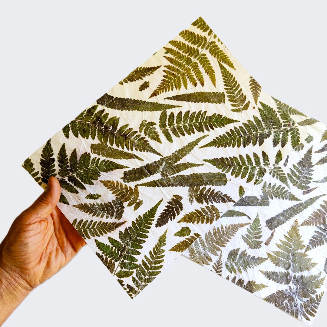 Pressed Fern Handmade Paper, DIY Botanical Art Crafts - Etsy