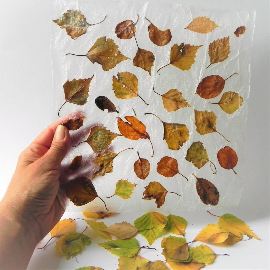 Autumn Decor Craft Home Made Paper Sheets With Dry Fall Birch Leaf - Etsy