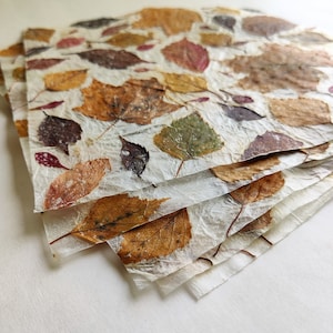 Unique Dried Fall Leaves Hand Made Paper Sheets, Craft, Collage ...