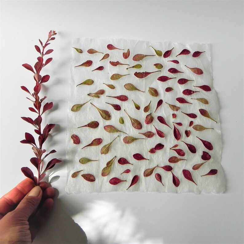 Handmade Nature Paper Leaf Texture Paper Botanical Gift Wrap - Etsy