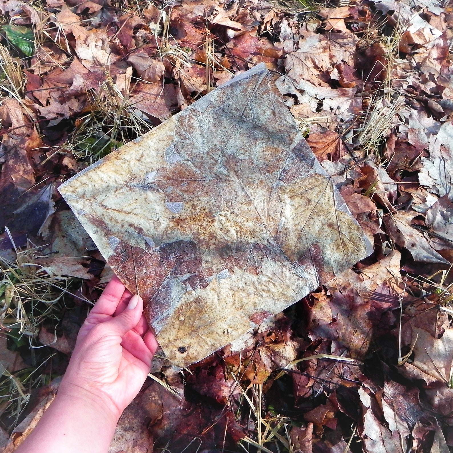 Hand Made Maple Leaf Paper, Fall Rustic Vintage Style Papers for Junk ...