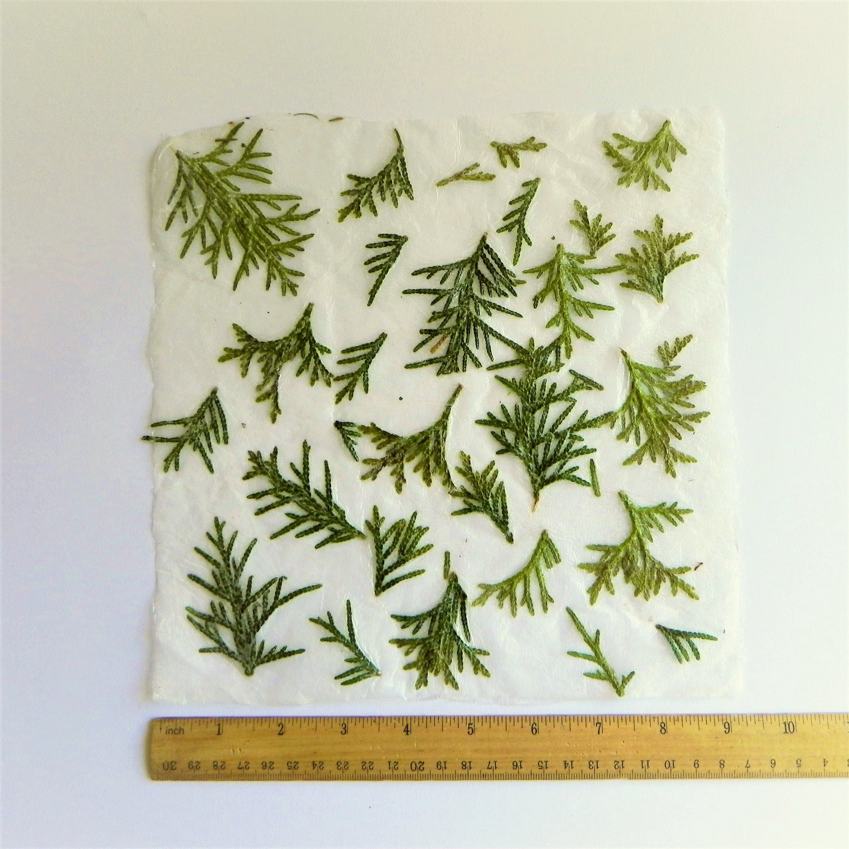 Handmade Floral Paper Set of 3 With Flowers, Plants, Leaves, Botanical ...