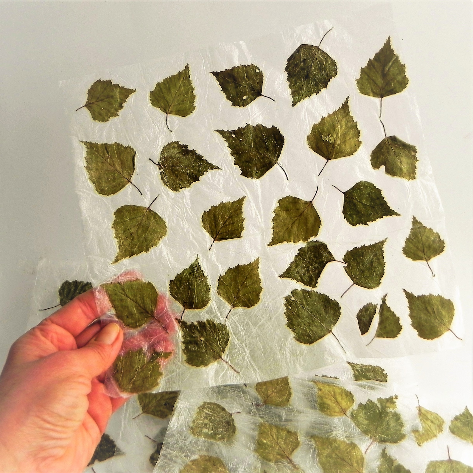 How to Make Your Own Paper With Real Plants, Arts and Crafts Diy Kit - Etsy