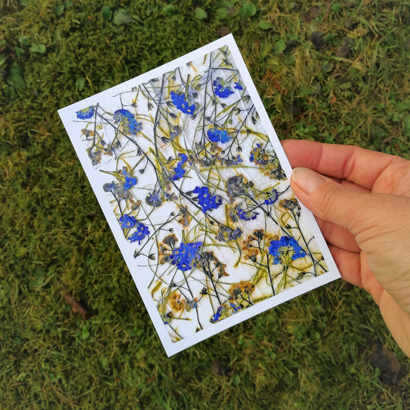 Blue Forget Me Not Flower Card and Envelope - Etsy