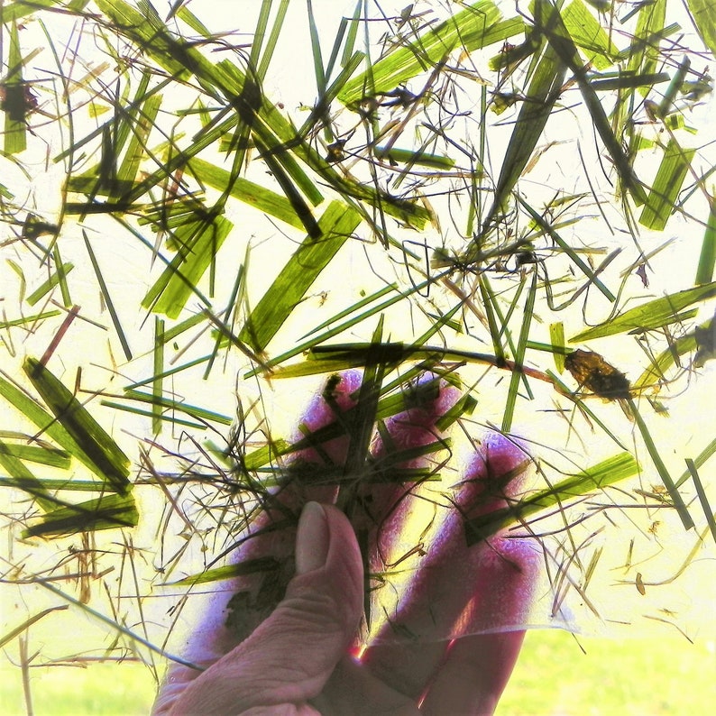 Decorative Paper With Real Grass, Homemade Art Craft Journal Paper ...