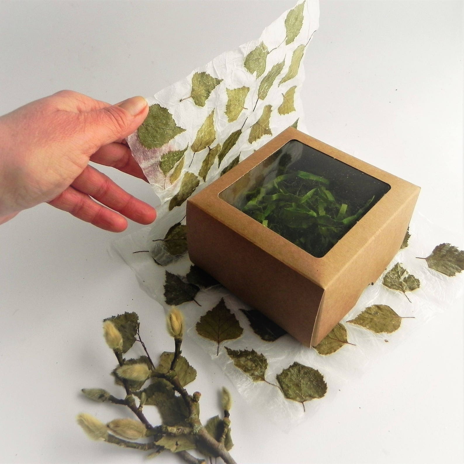 Handmade Birch Leaf Paper Sheet: Spring Green DIY Gift Wrap - Etsy