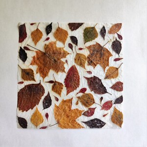 Unique Dried Fall Leaves Hand Made Paper Sheets, Craft, Collage ...