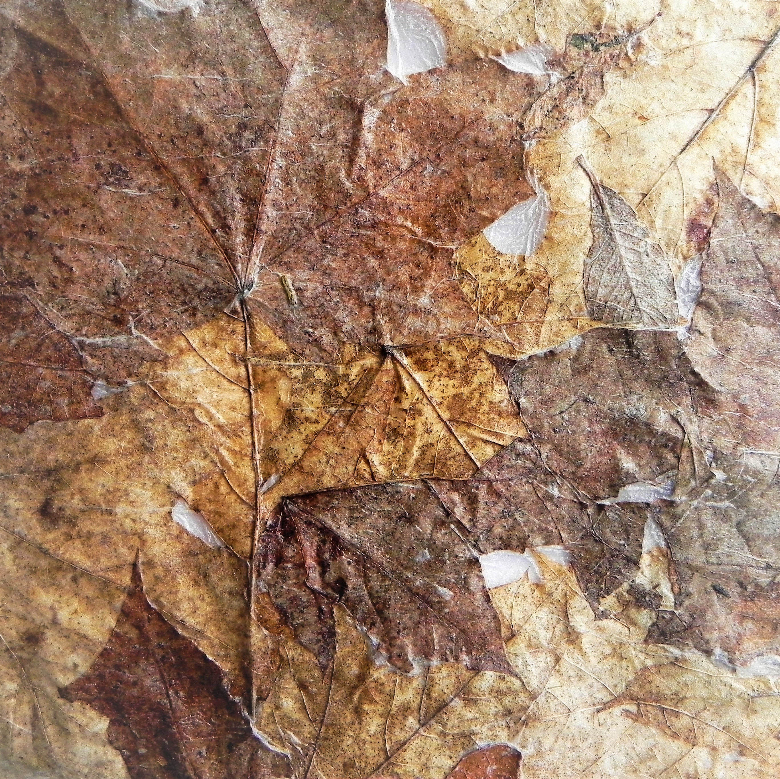 Hand Made Maple Leaf Paper, Fall Rustic Vintage Style Papers for Junk ...