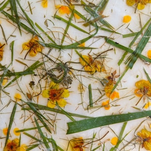 Handmade Paper Set of 2 Sheets, Botanical Pages With Real Wildflower ...