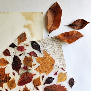 Unique Dried Fall Leaves Hand Made Paper Sheets, Craft, Collage ...