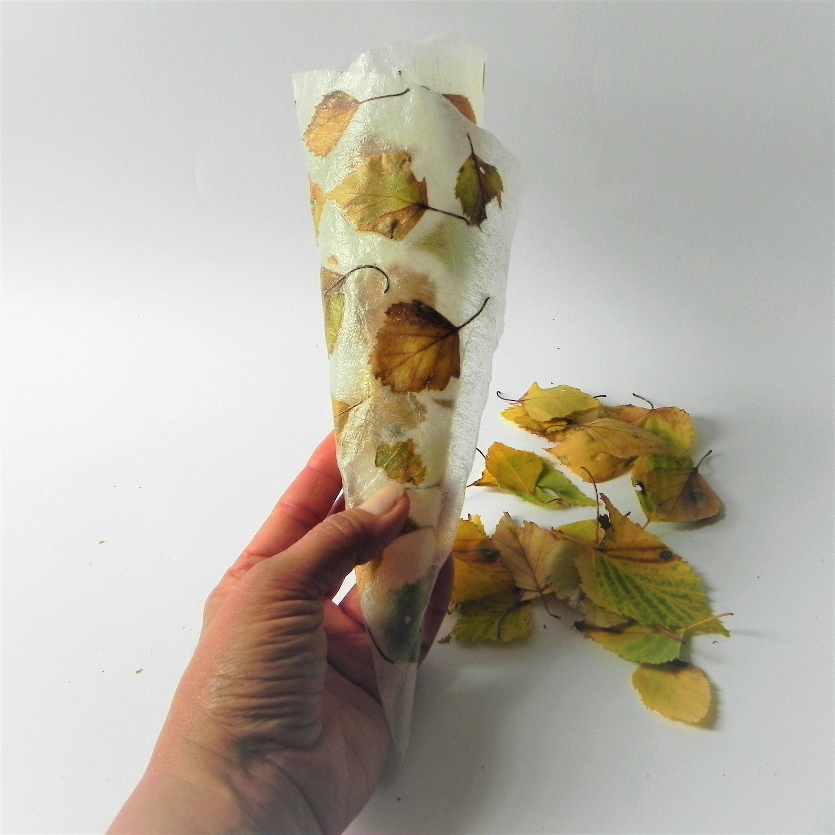 Autumn Decor Craft Home Made Paper Sheets With Dry Fall Birch Leaf - Etsy