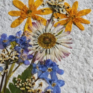 Mini Pressed Flowers Bouquet Frame Art Small Botanical Gift - Etsy