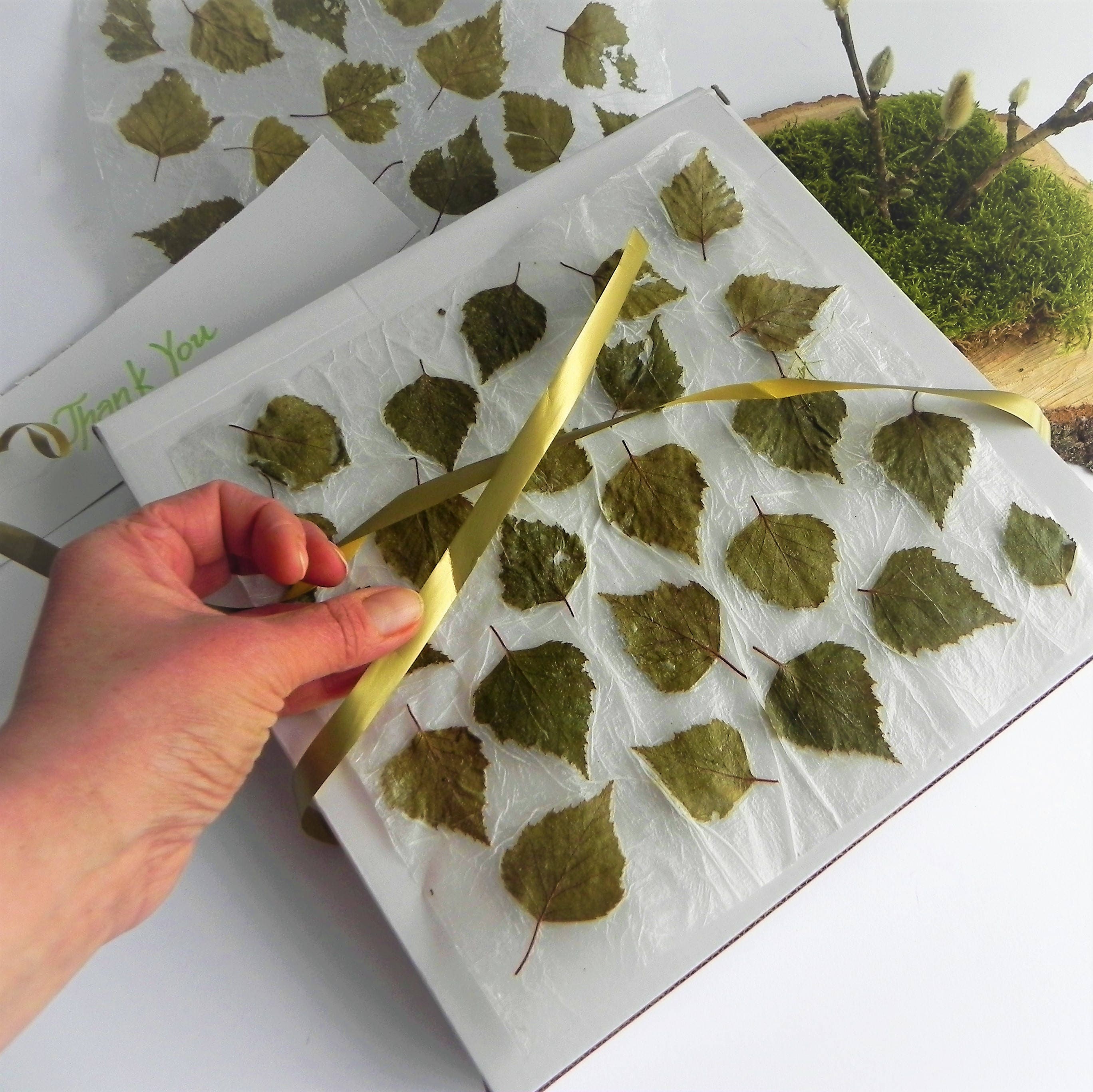 Handmade Birch Leaf Paper Sheet: Spring Green DIY Gift Wrap - Etsy