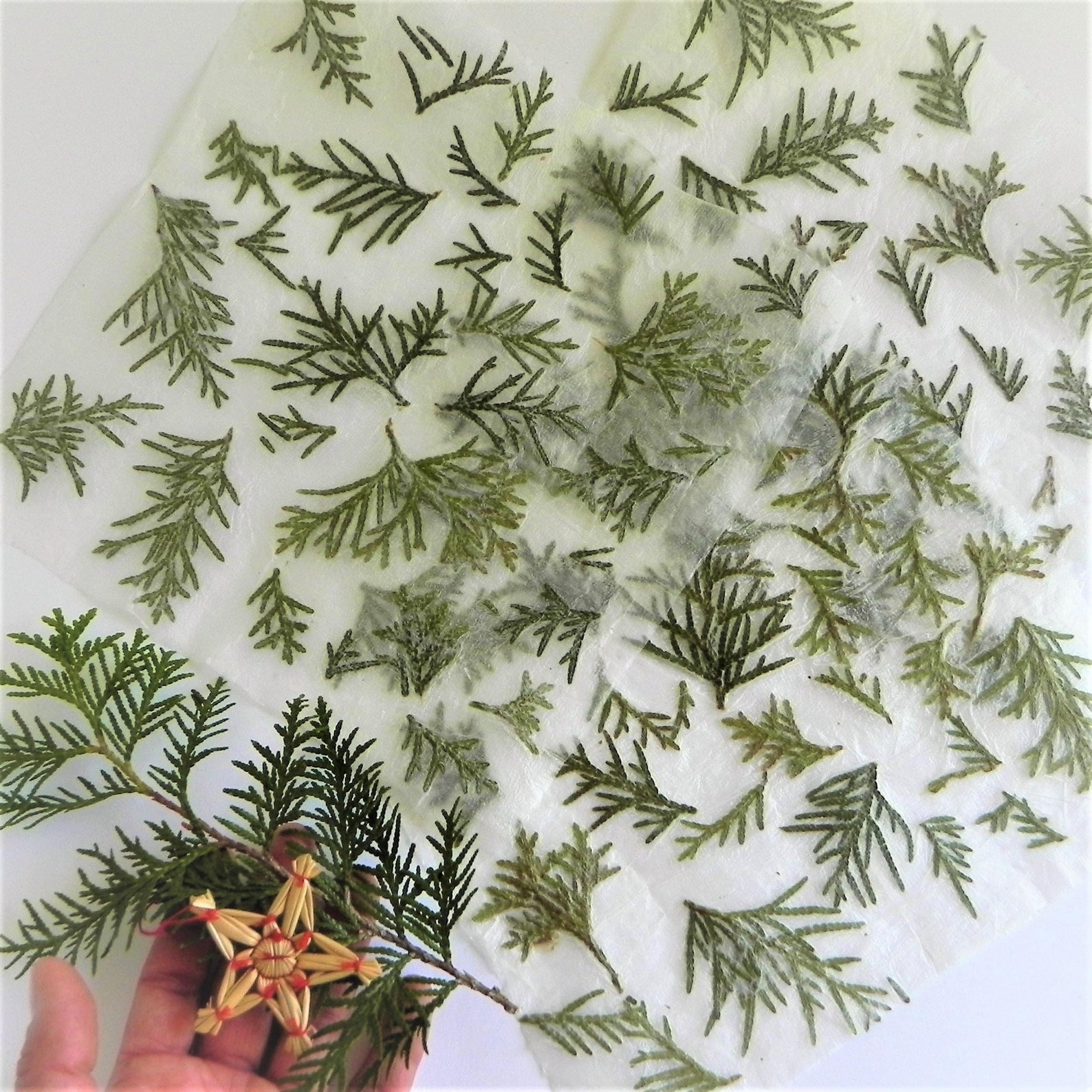 Green Handmade Paper, Nature Paper Sheets, Christmas Wrap Idea - Etsy