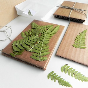 DIY Kit Paper Making With Dried Fern - Etsy