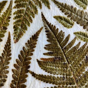 Pressed Fern Card, Homemade Paper Note Cards, Greenery Botanical Gift ...