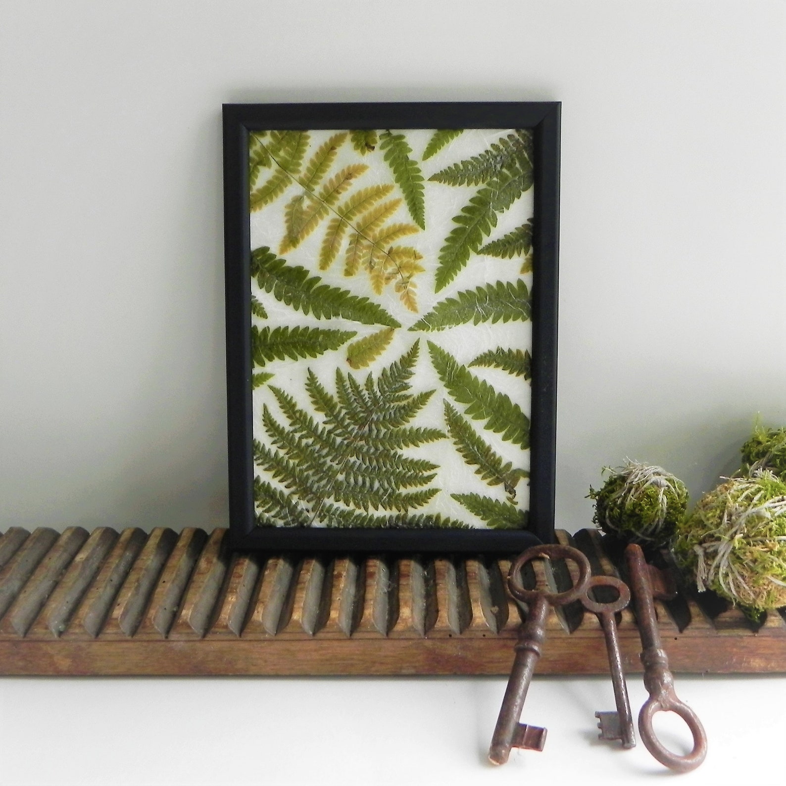 Pressed Fern Art in Frame Fern Leaf Home Decor Hygge - Etsy