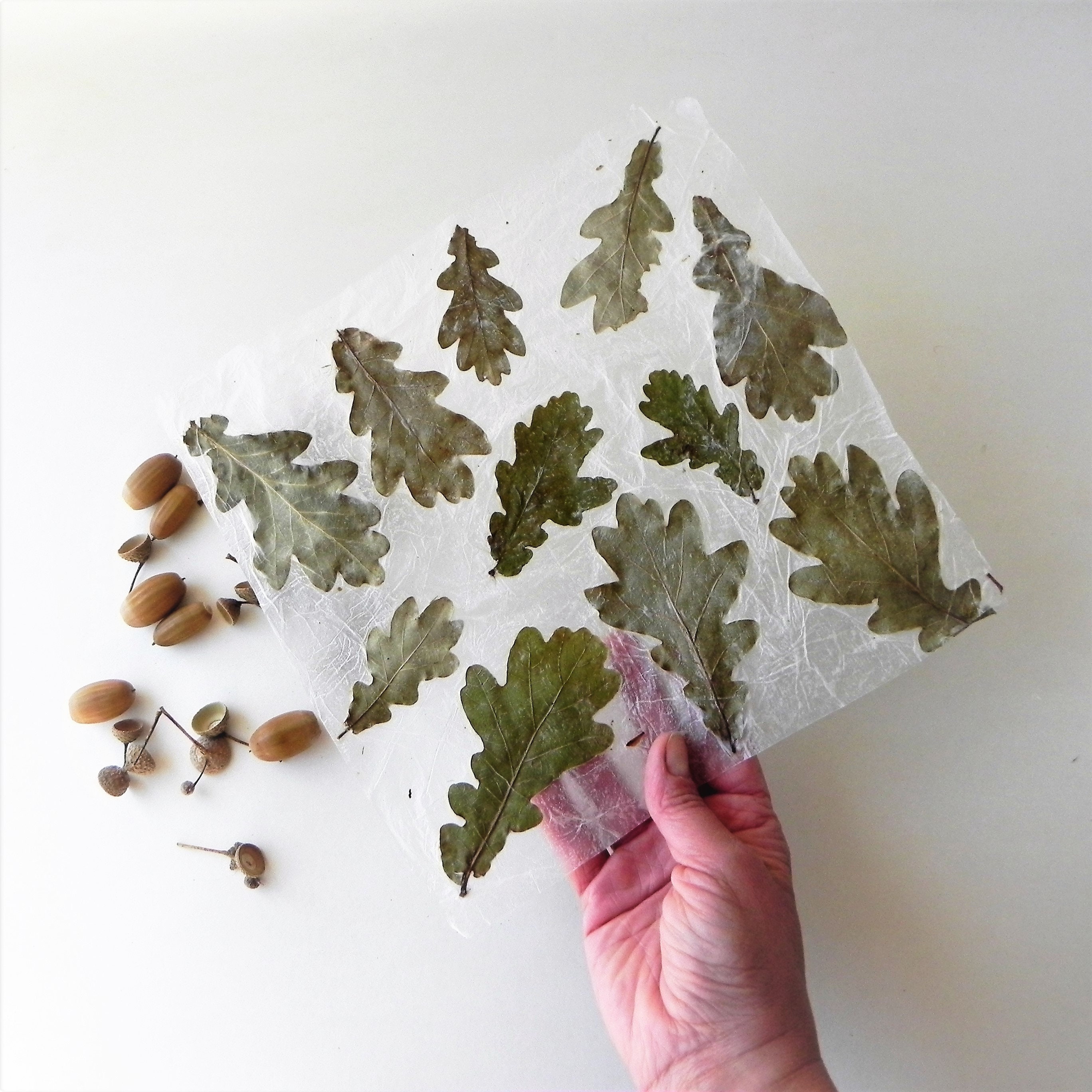 Dried Oak Leaf Handmade Paper for Collage, Crafts, Journals, Scrapbook ...
