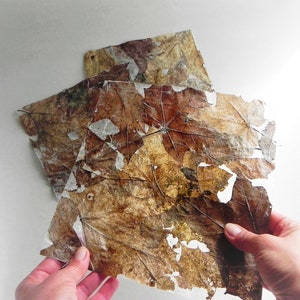 Hand Made Maple Leaf Paper, Fall Rustic Vintage Style Papers for Junk ...