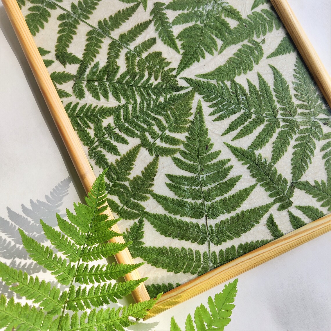 Pressed Fern Leaves Framed Organic Wall Art Decor - Etsy