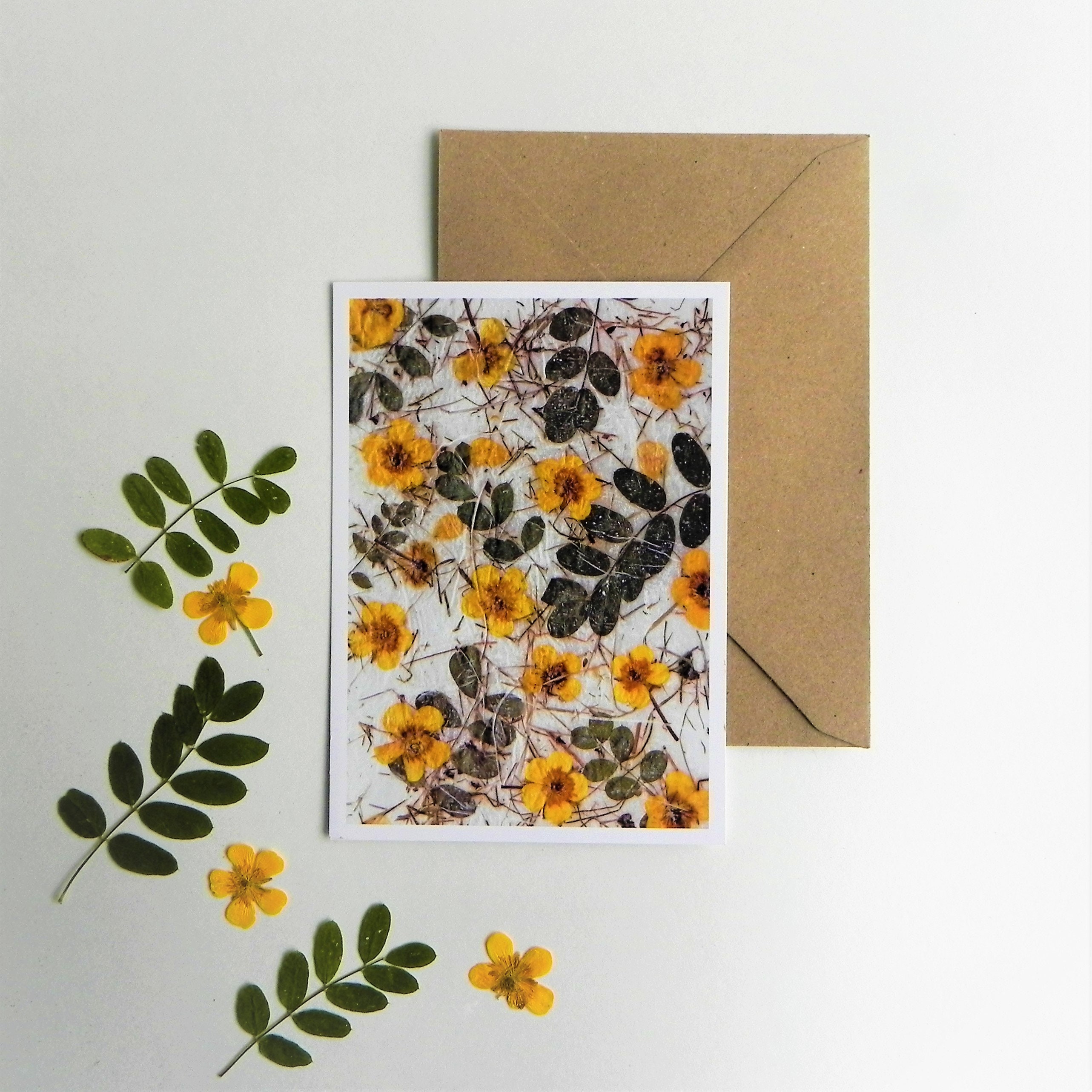 Floral postcards botanical greeting card set with envelopes | Etsy