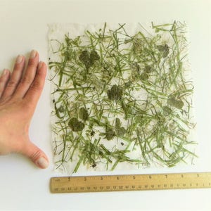 Decorative Paper With Real Grass, Homemade Art Craft Journal Paper ...