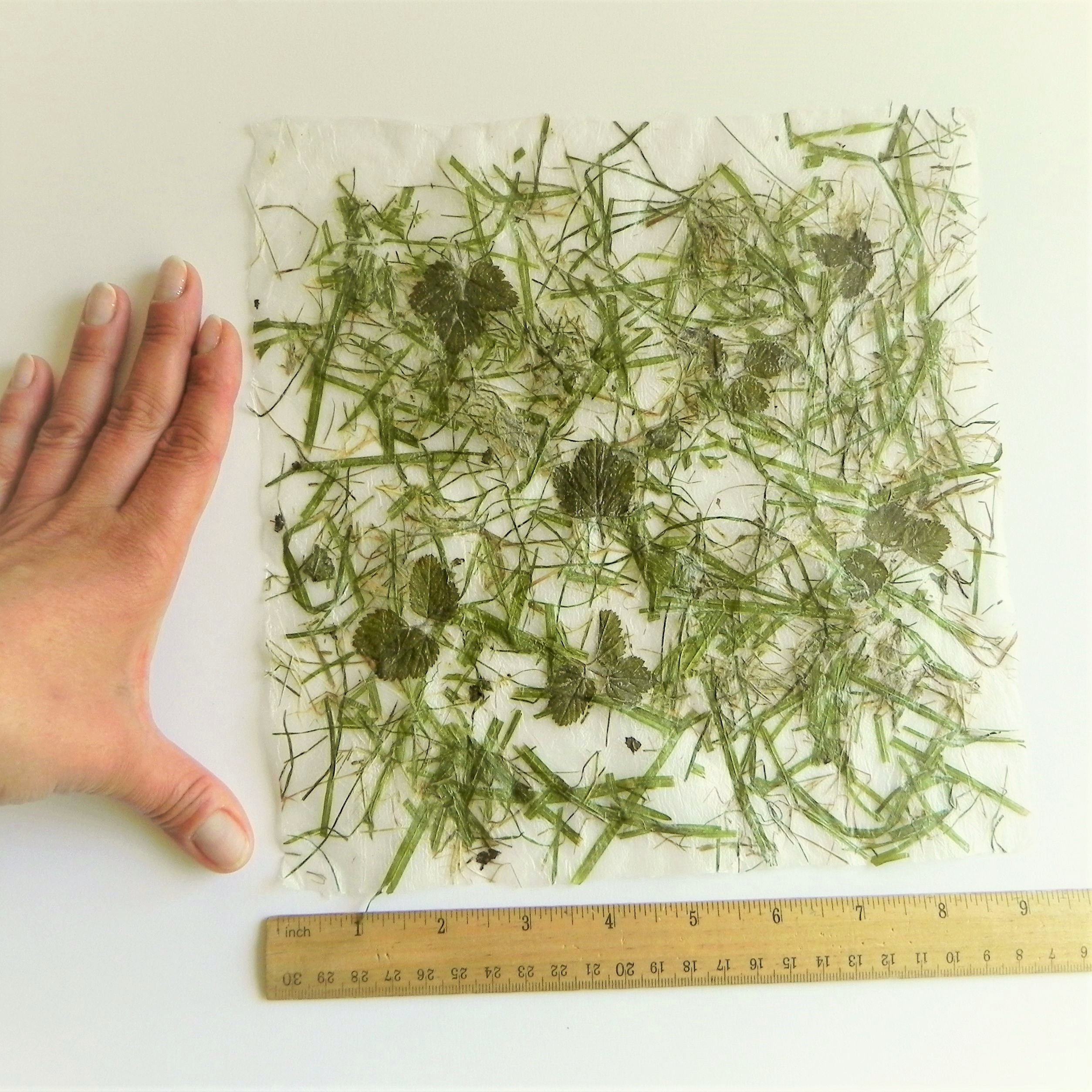 Decorative Paper With Real Grass, Homemade Art Craft Journal Paper ...