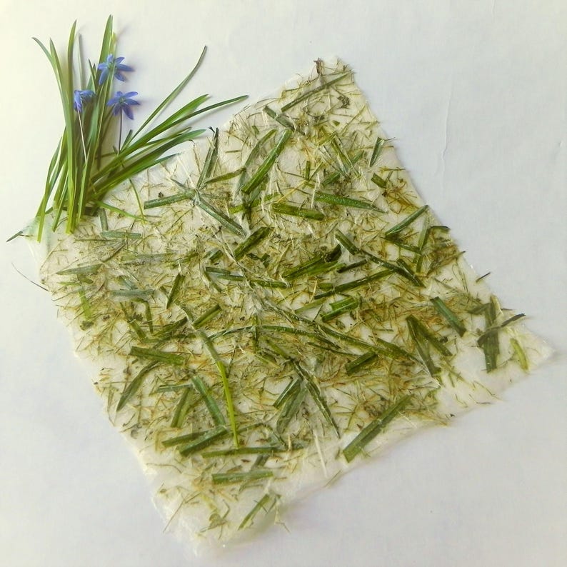 Decorative Paper With Real Grass, Homemade Art Craft Journal Paper ...
