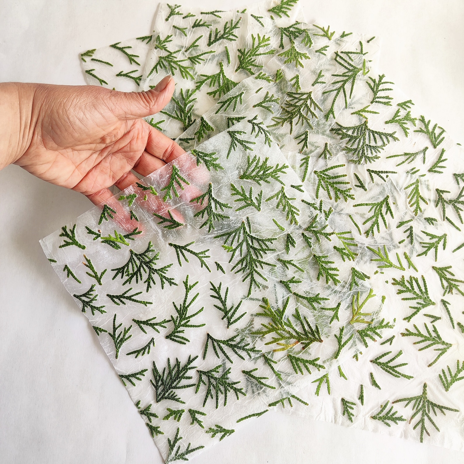 Homemade Decorative Paper, Botanical Paper With Real Plants, Handcraft ...