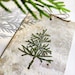 Green Christmas Tree Cards, Dried Botanical Winter Art, Handmade Paper ...