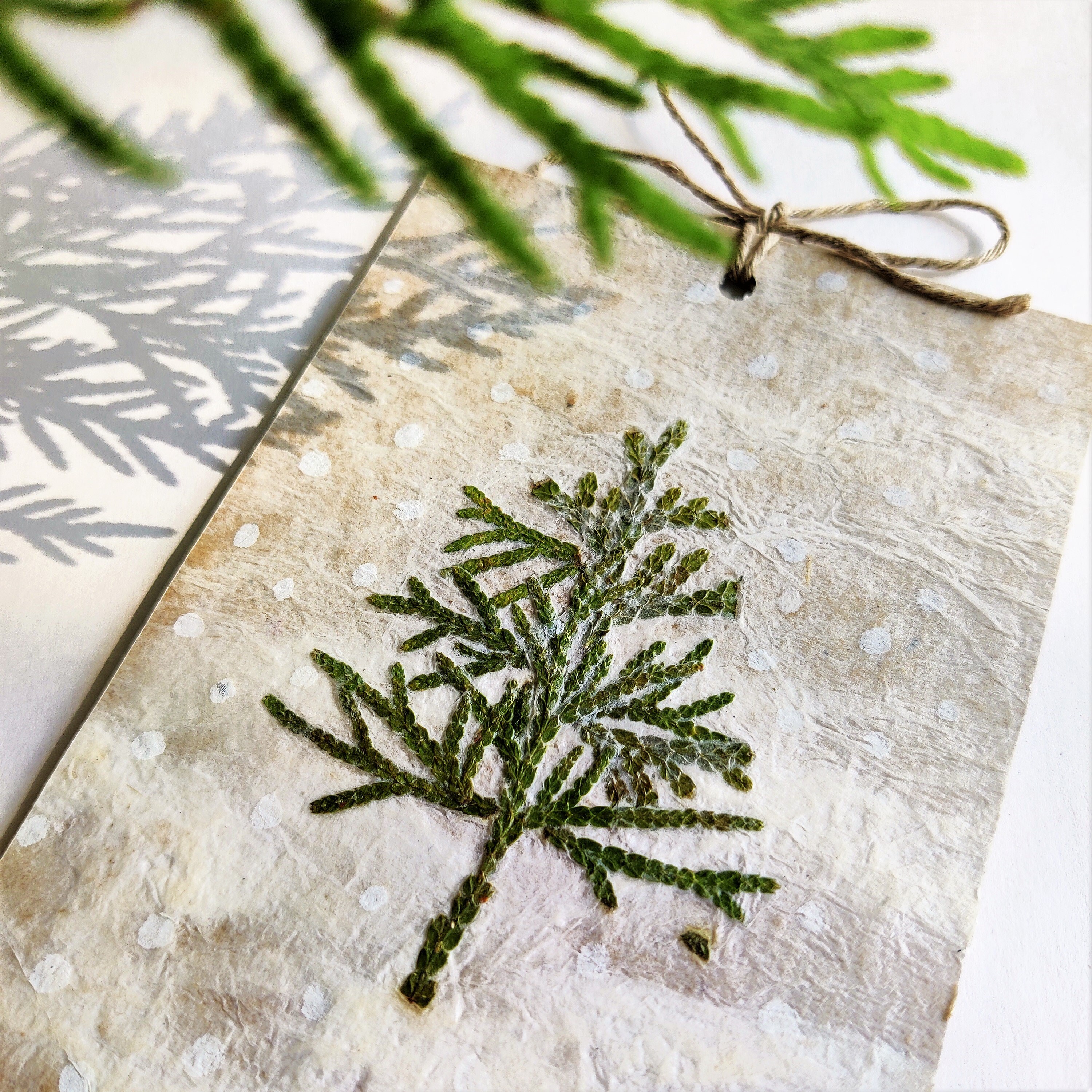 Green Christmas Tree Cards, Dried Botanical Winter Art, Handmade Paper ...