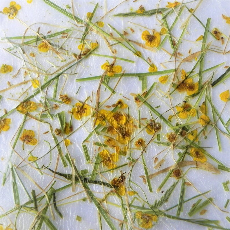 Handmade Yellow Meadow Flowers Paper for Art Craft Projects or Gift ...