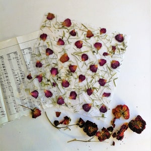 Translucent Handmade Thin Paper With Dried Rose Flower Petals - Etsy