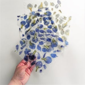 Blue Handmade Paper With Iris Flowers Petals Romantic Floral - Etsy