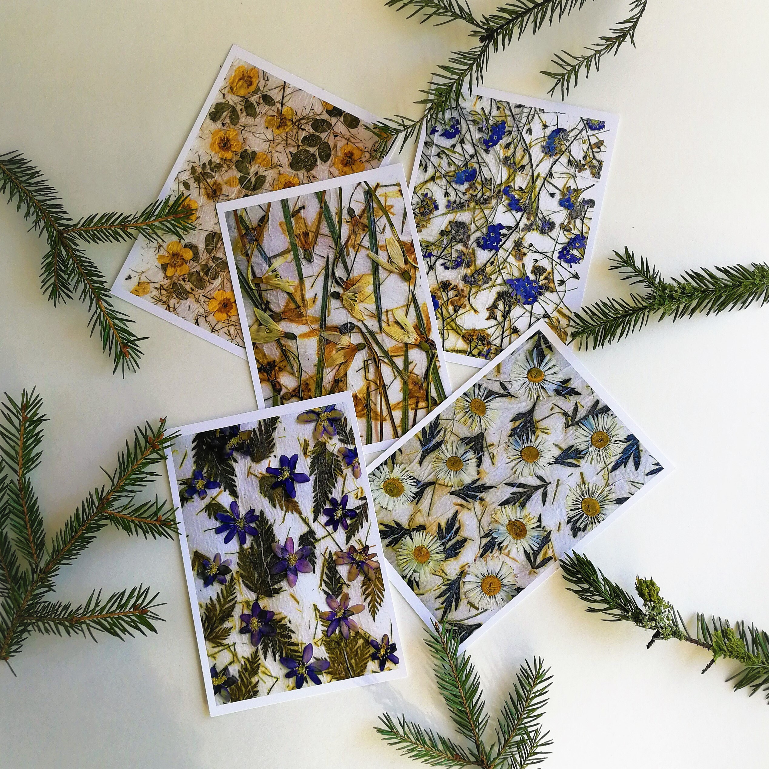 Set of 5 Printable Holiday Post Cards From Pressed Flower Paper - Etsy