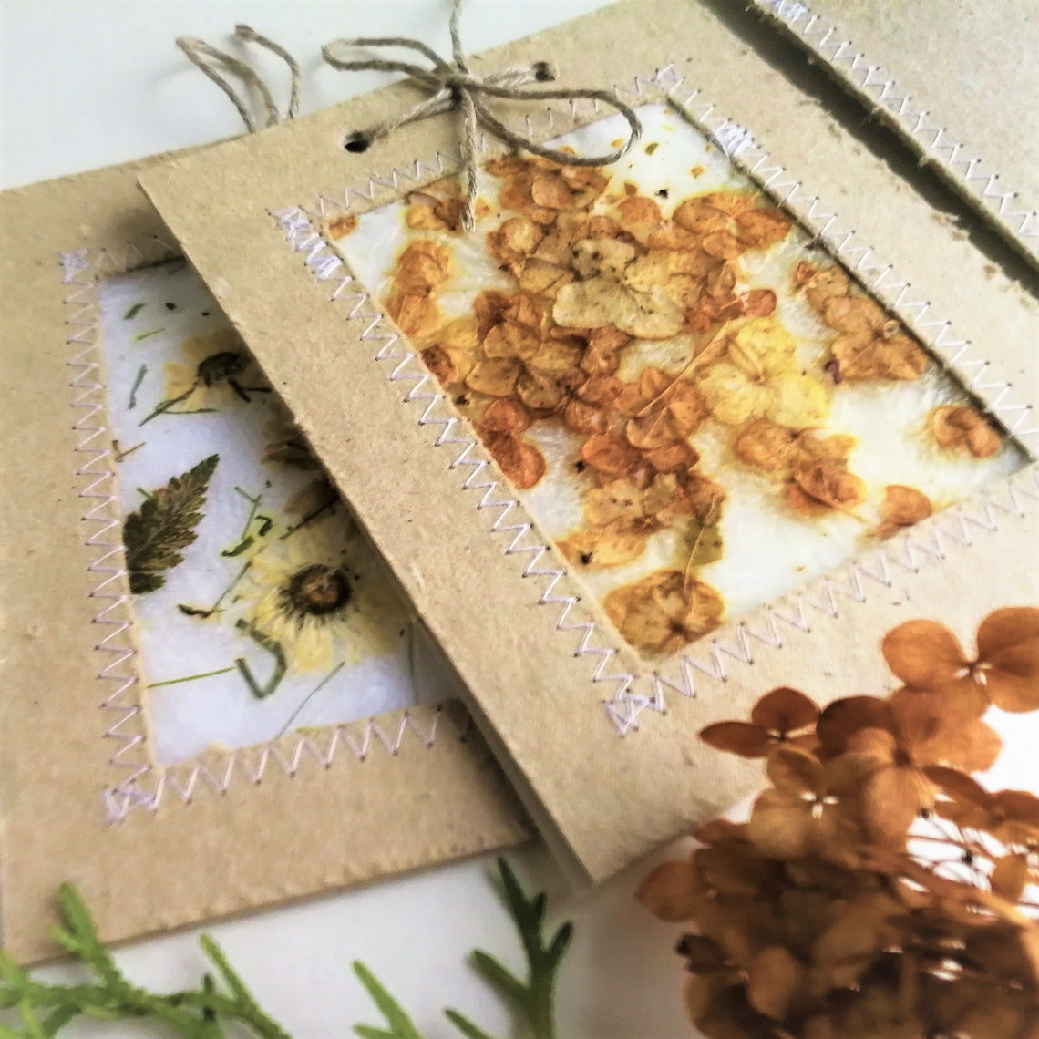 Handmade Dried Flower Greeting Cards: Botanical Notecards Set of 3 - Etsy