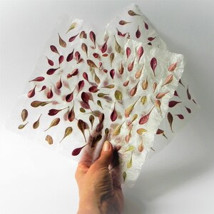 Handmade Nature Paper, Leaf Texture Paper, Botanical Gift Wrap - Etsy