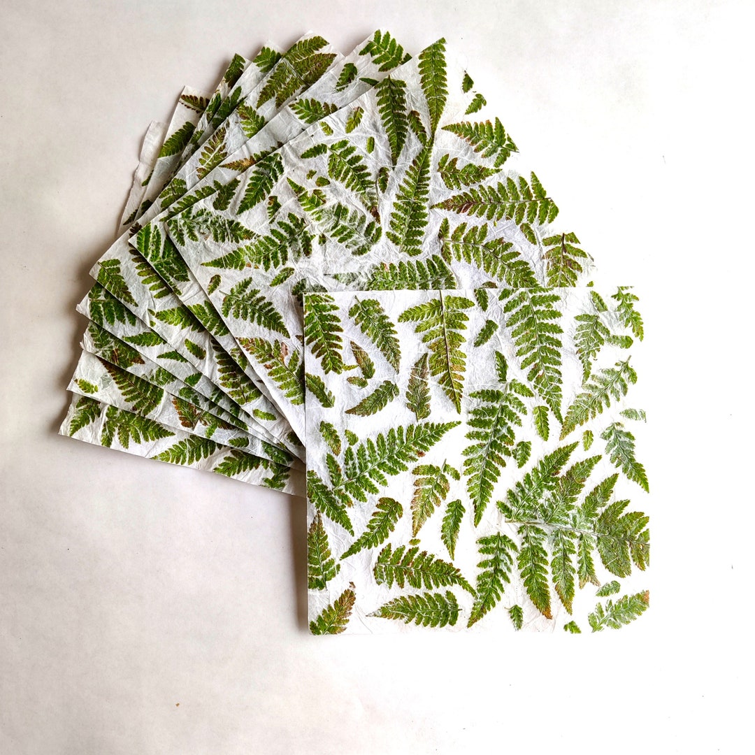 Set of 10 Handmade Paper With Real Fern Leaves - Etsy