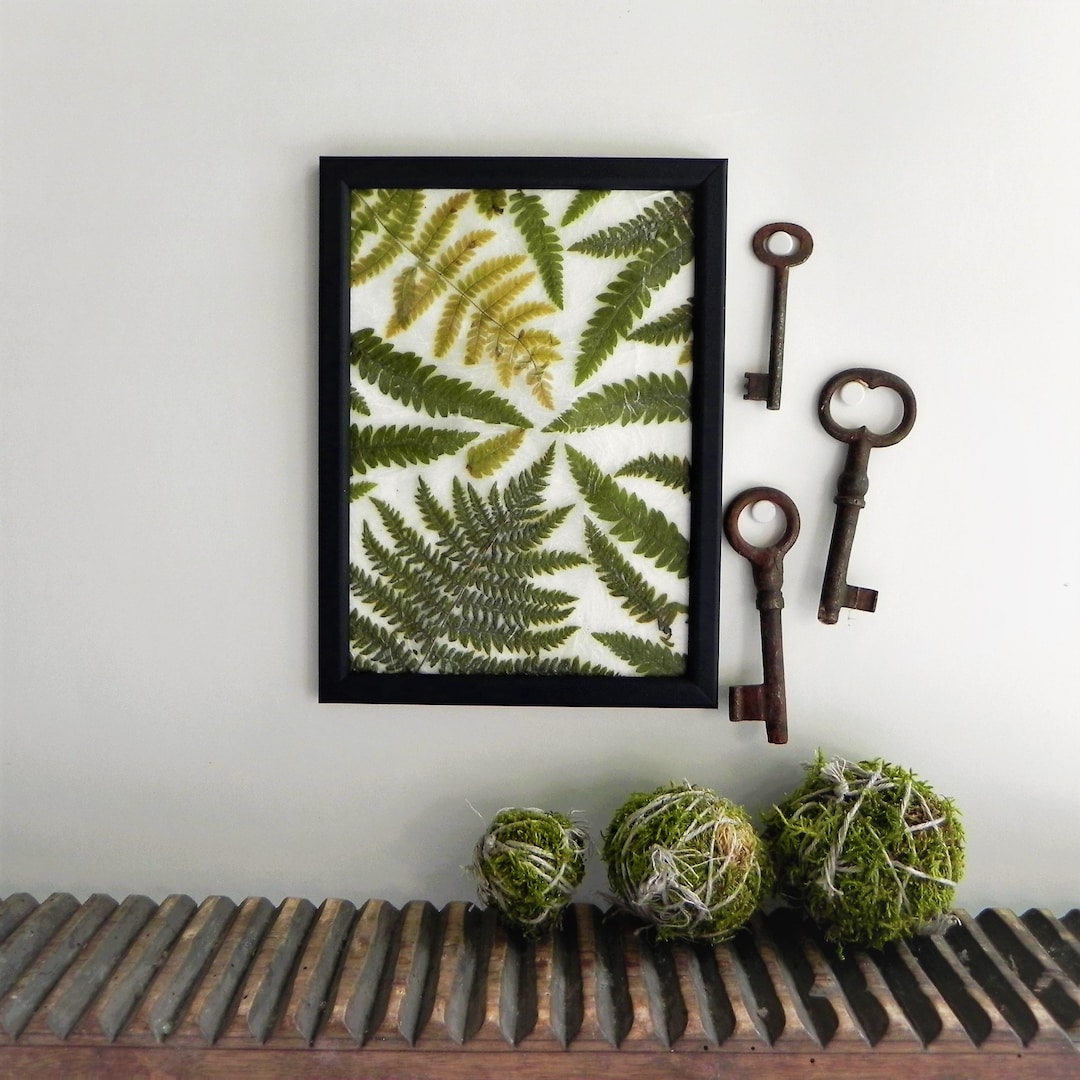 Pressed Fern Art in Frame, Fern Leaf Home Decor Hygge, Botanical ...