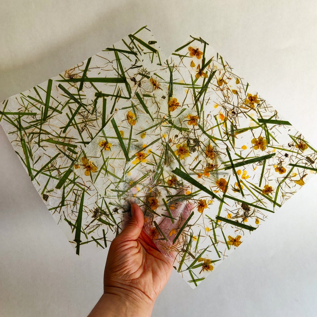 Handmade Paper Set of 2 Sheets, Botanical Pages With Real Wildflower ...