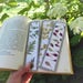 Handmade Paper Book Marks Set of 3, Small Gift for Book Lover, Reader ...